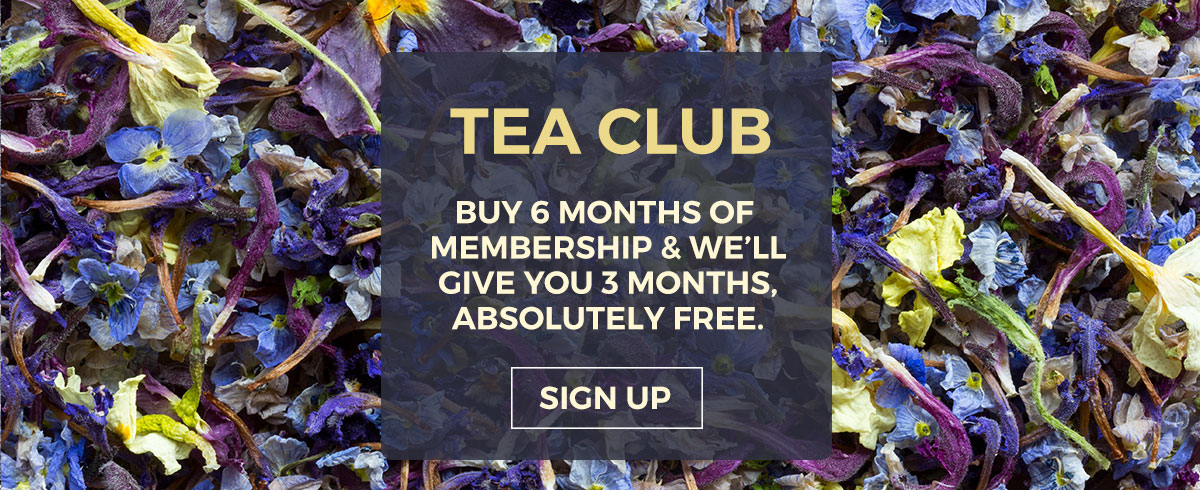 Himalayas Tea - Healthy and Herbal Tea Bags or Products